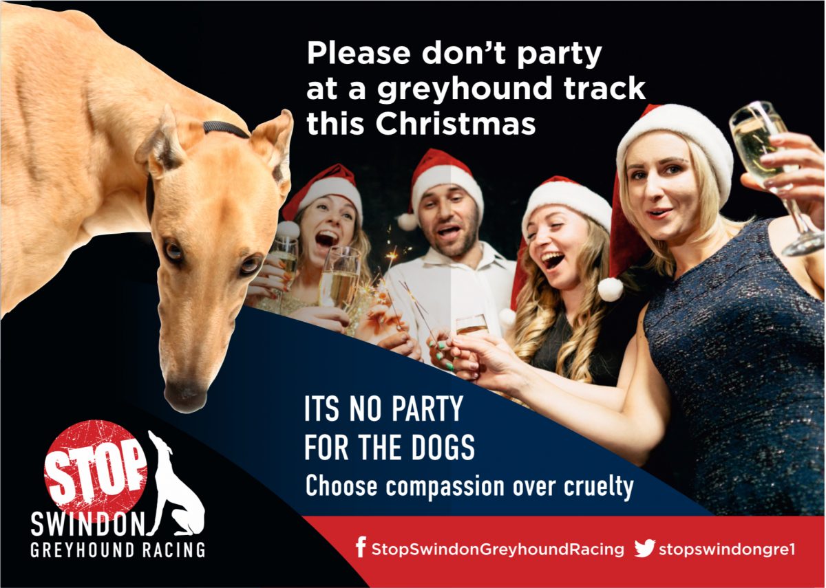 Latest News – Stop Swindon Greyhound Racing